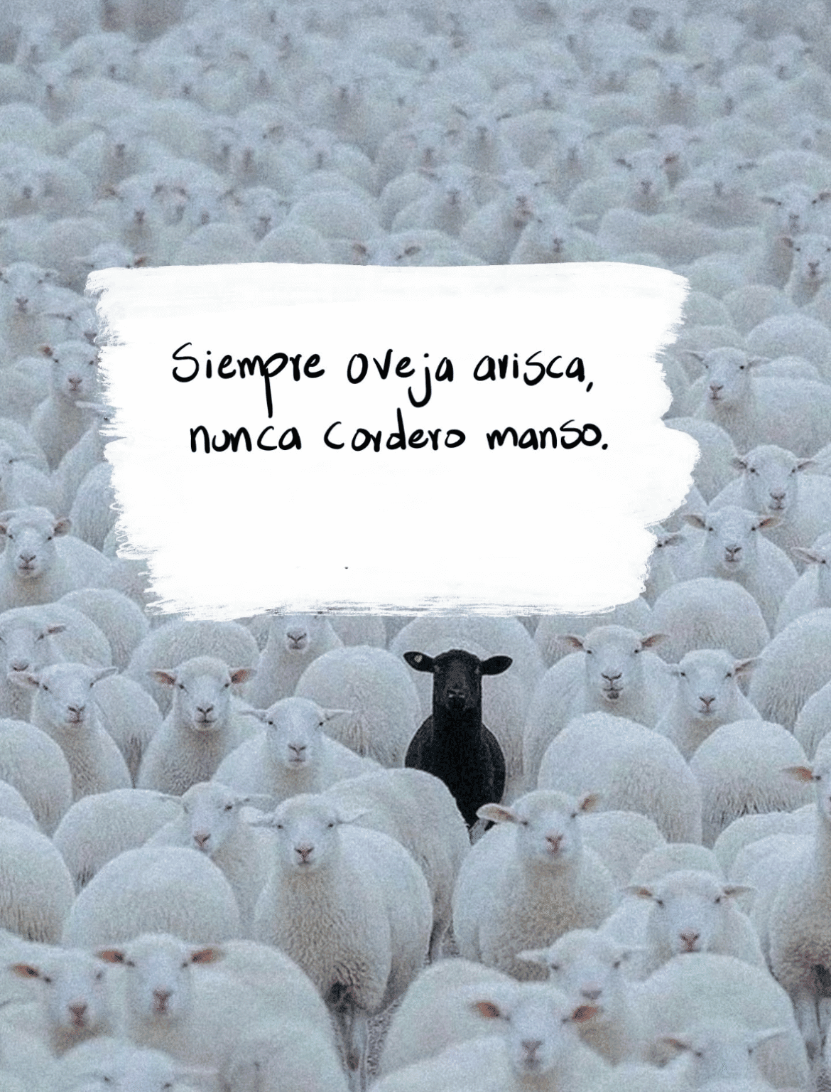 "Voces Controvertidas": el debate tras la entrevista a Gustavo Cordera - ARGay
